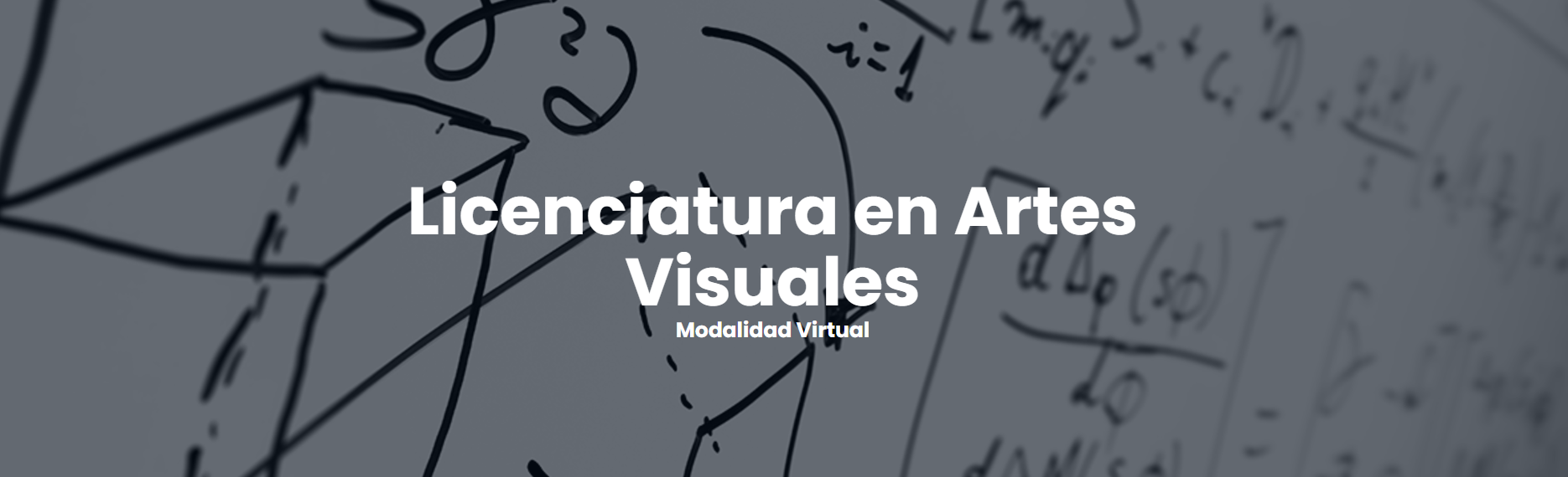 Licenciatura en Artes Visuales Modalidad Virtual – EIDEC